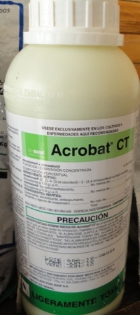 Productos y servicios